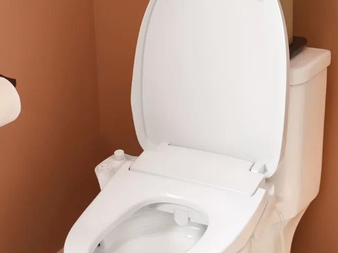 Moen eBidets | phcppros